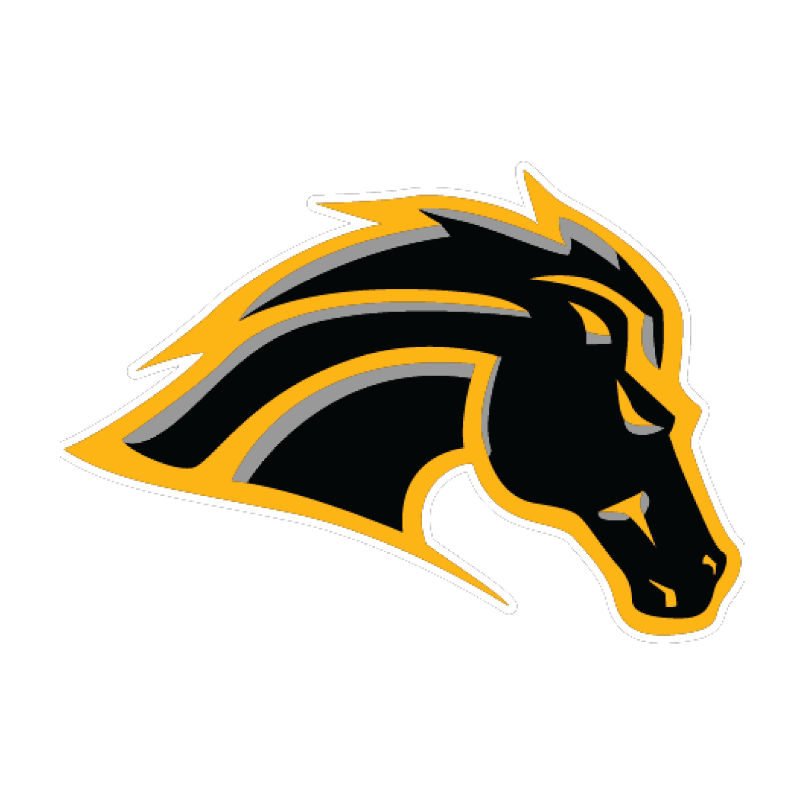 Aurora Metea Valley – The State Farm Holiday Classic